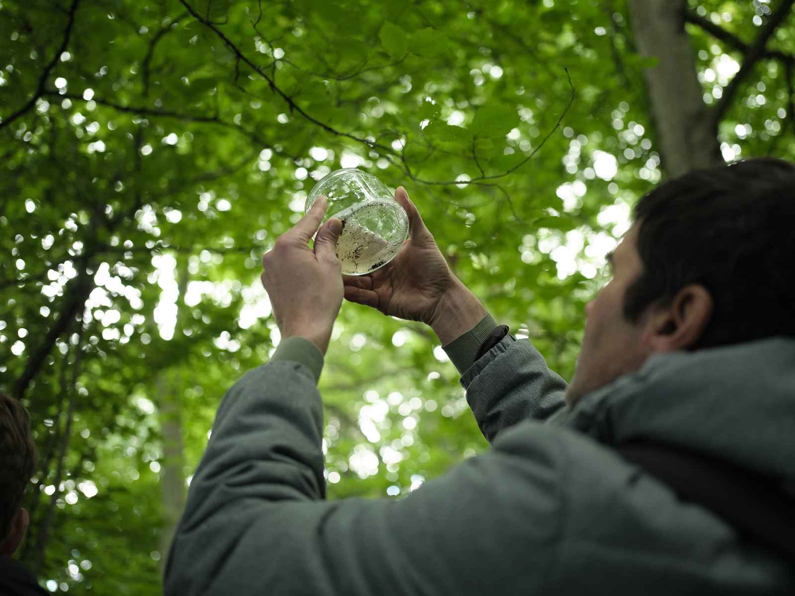 Ecological survey techniques | Oxford Lifelong Learning, University of ...