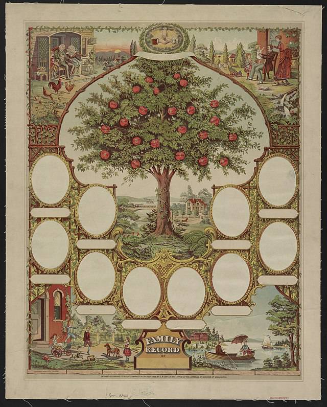 How to begin your Family Tree | Oxford Lifelong Learning, University of ...