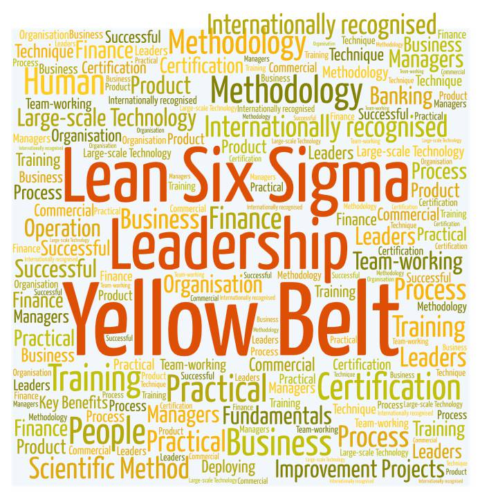 Lean Six Sigma Leadership Yellow Belt (online) | Oxford Lifelong ...