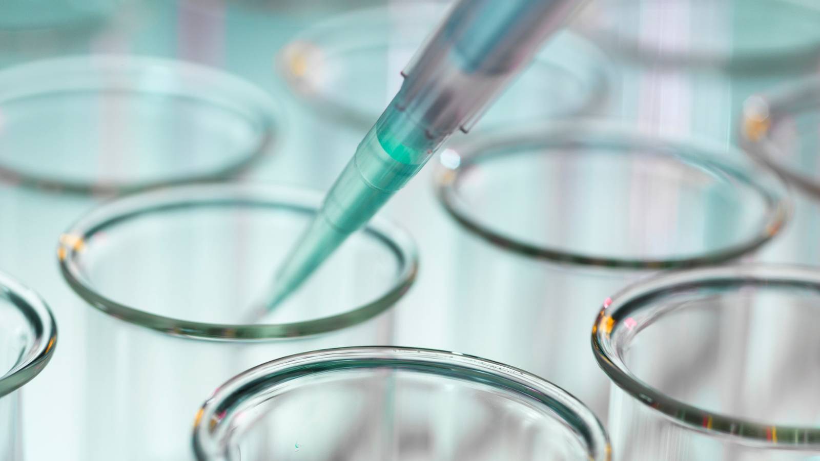 Clinical Vaccine Development and Biomanufacturing | Oxford Lifelong ...