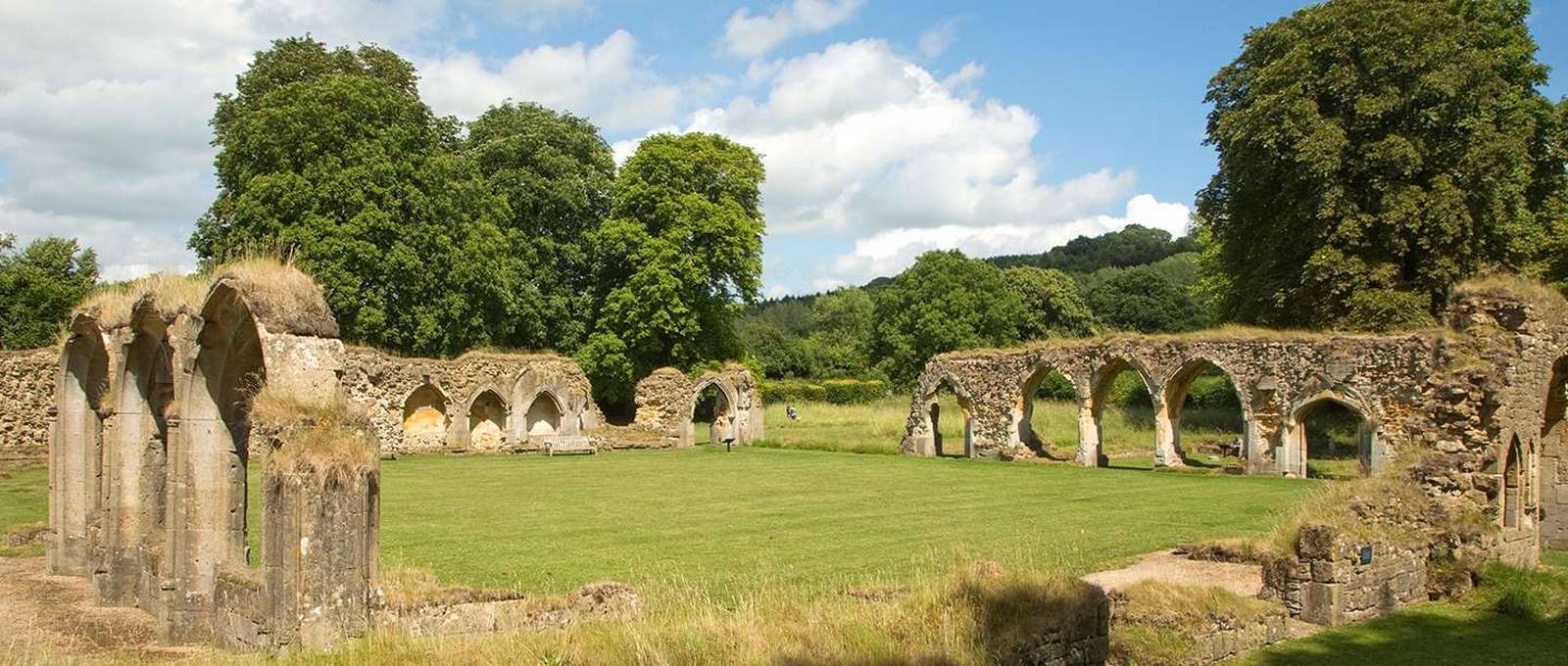 Nature in the Historic Built Environment: How to Make the Most of it ...