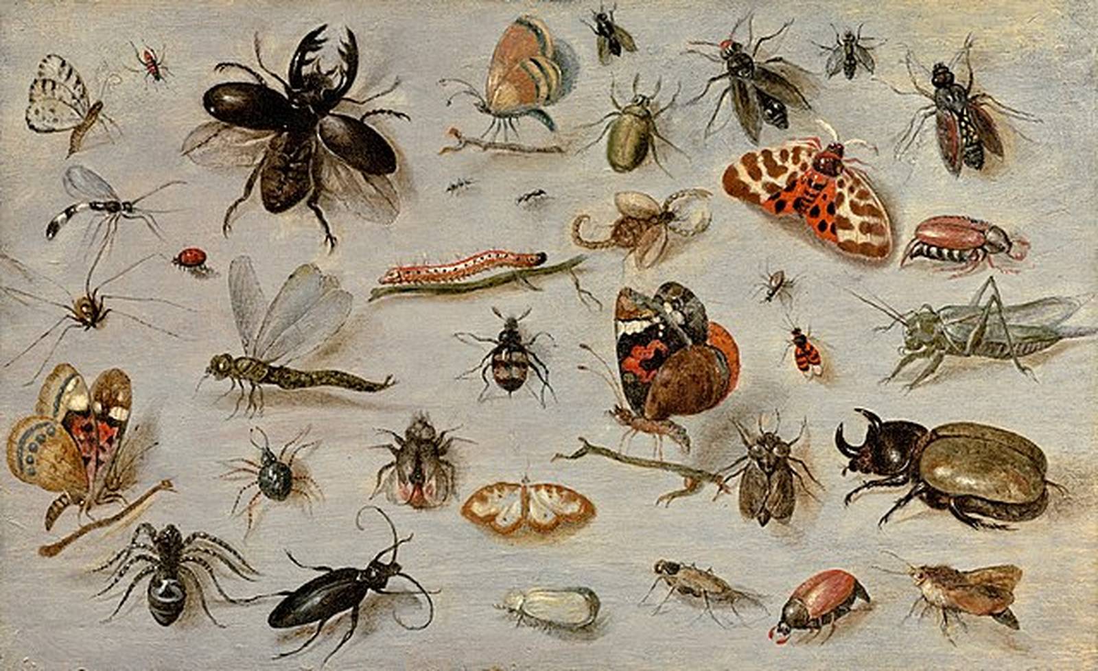 The Diversity and Importance of Insects and Other Arthropods | Oxford ...
