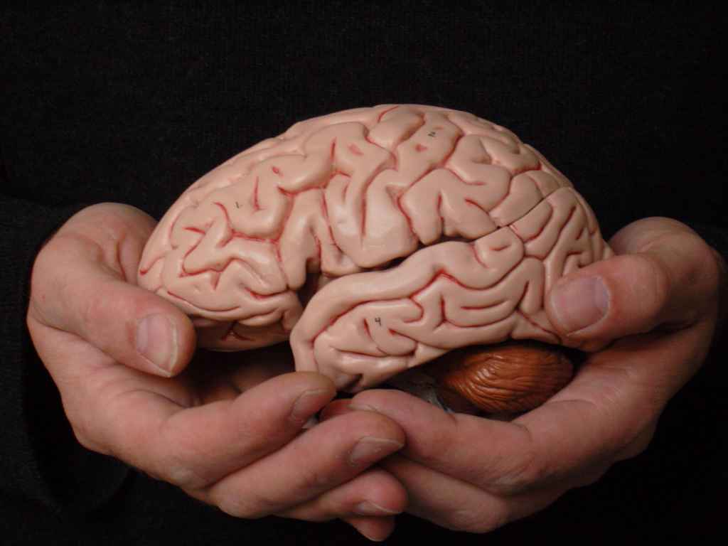 Brain & Behaviour | Oxford Lifelong Learning, University of Oxford